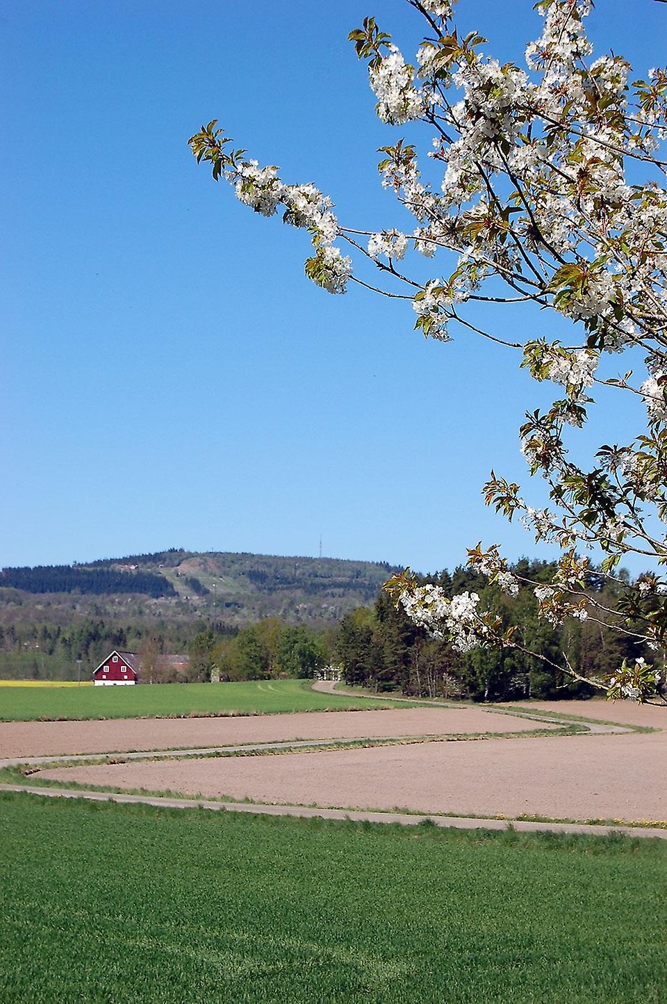Om kommunen - Götene kommun